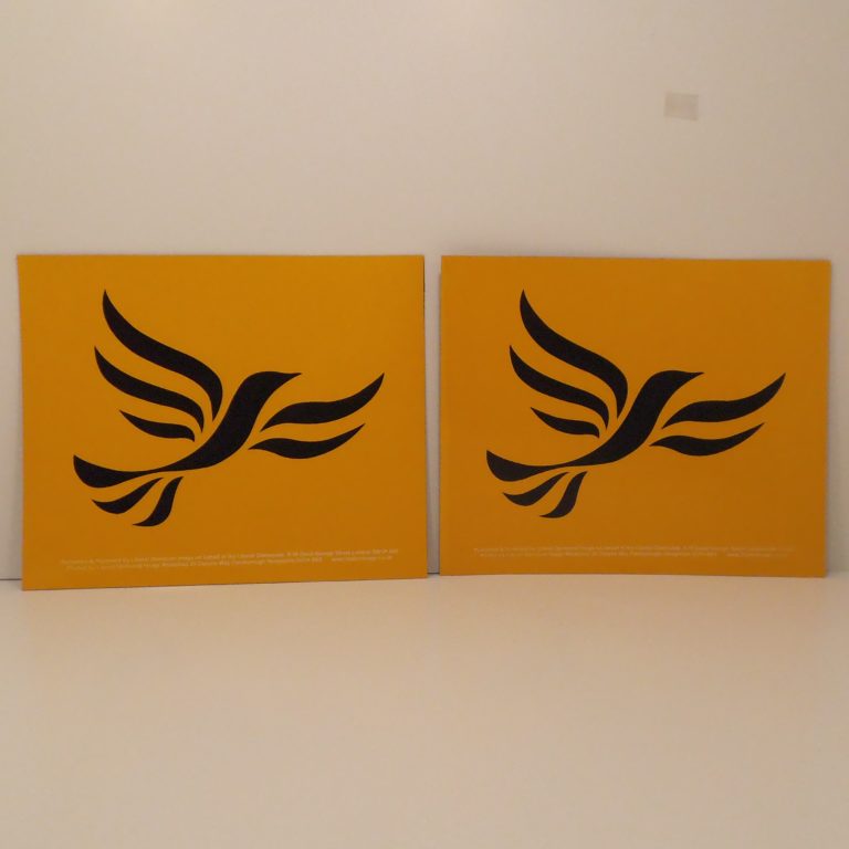Lib Dem Image