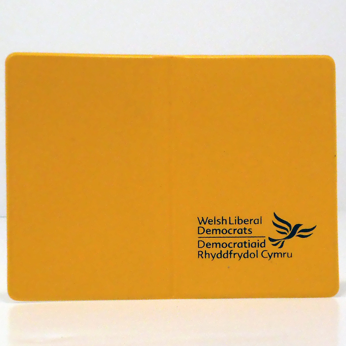 Welsh Archives | Lib Dem Image