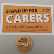 Lib Dem Image