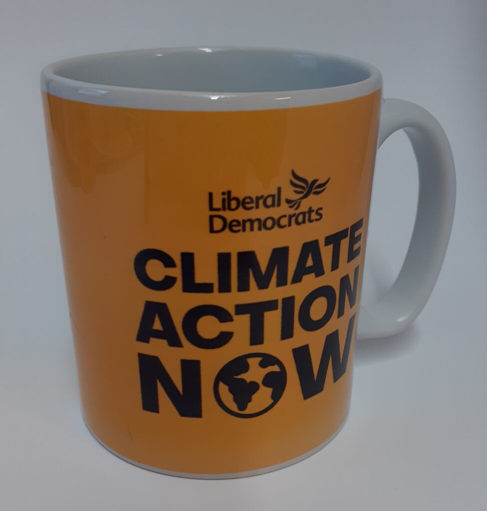 Lib Dem Image