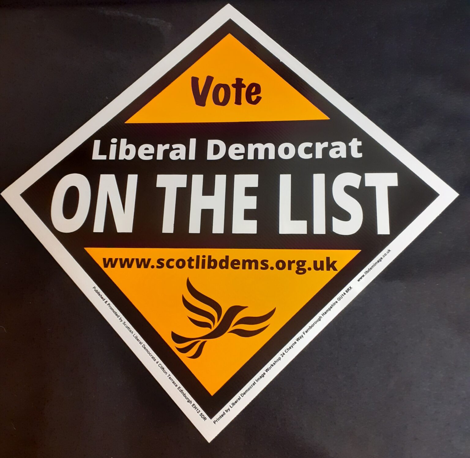 Posters Archives | Lib Dem Image