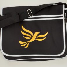 Lib Dem Image