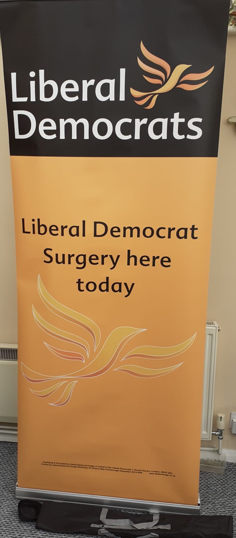 Lib Dem Image