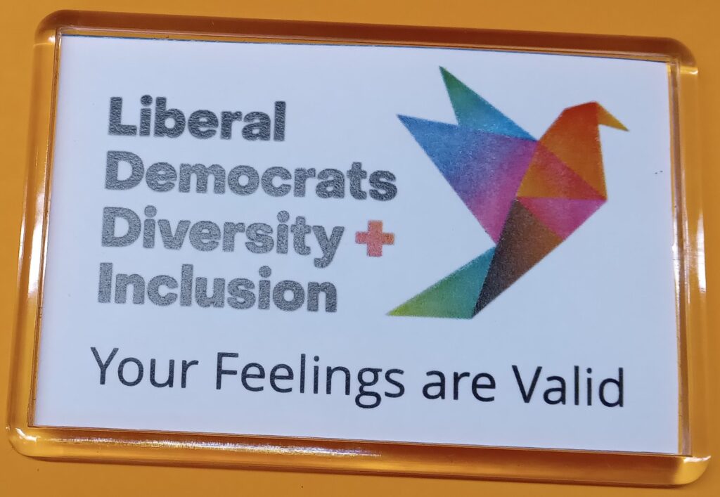 Fridge Magnet Diversity Inclusion - Your Feelings are Valid | Lib Dem Image