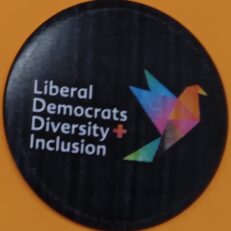 Lib Dem Image