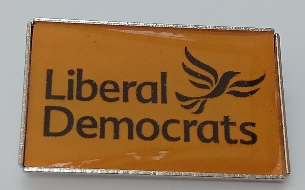 Domed Gold Black Bird Print Lapel Oblong | Lib Dem Image