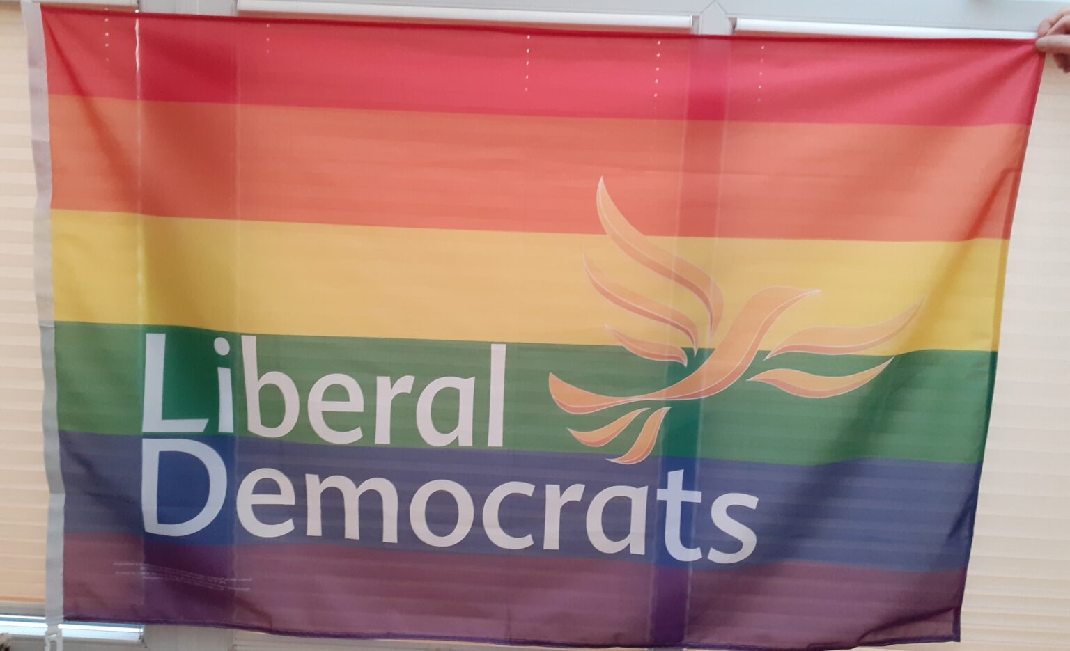 Diversity Flag | Lib Dem Image