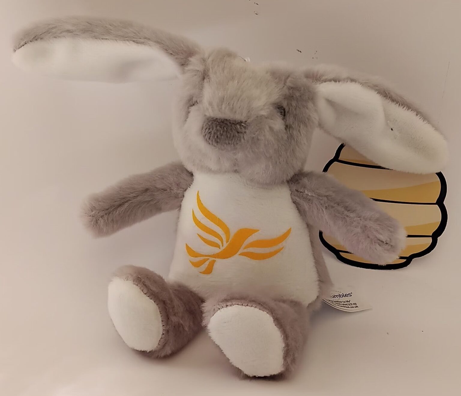 Lib Dem Image